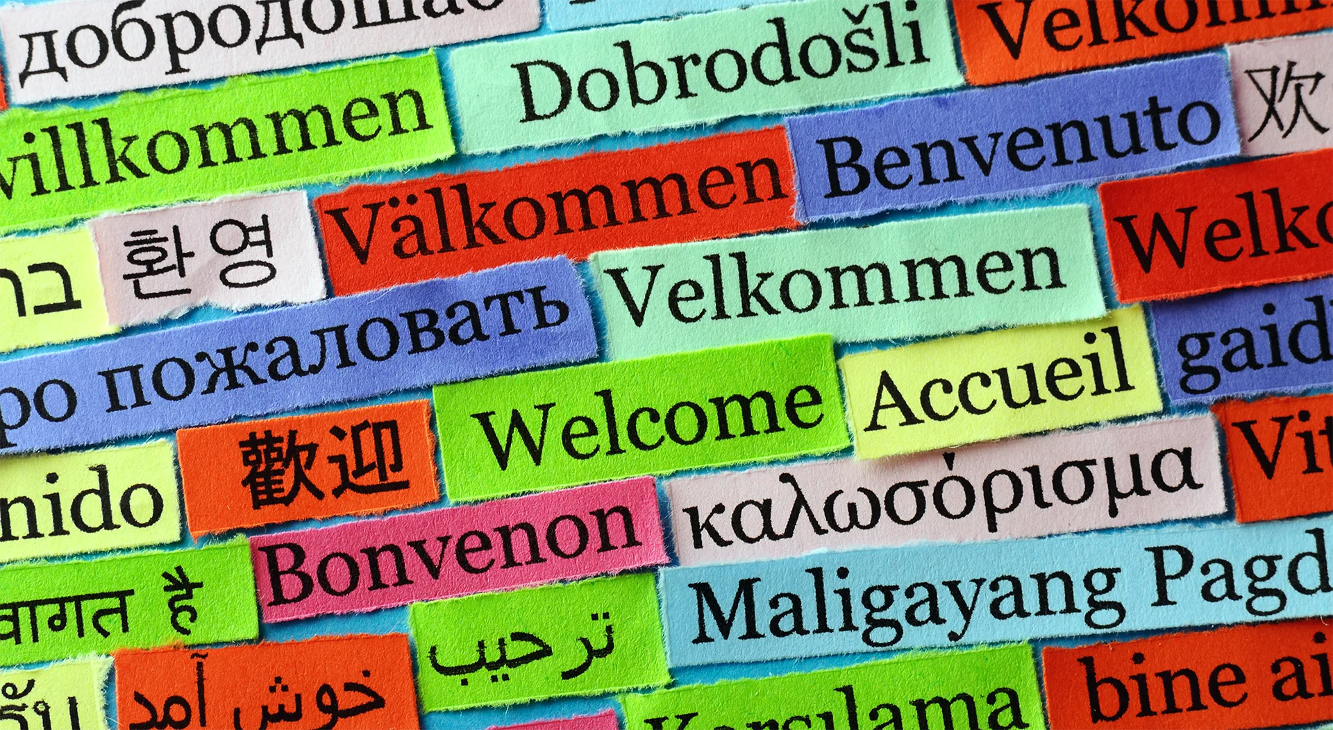 A Guide to Multilingual Inclusion in Schools - Pocketalk